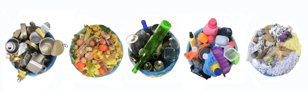 Embrace Sustainability with Recycling in Tampa: Your Essential Guide ...